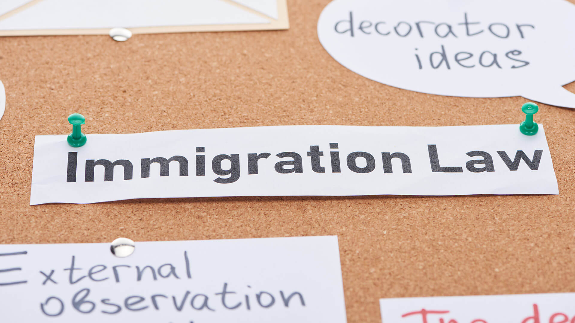 Immigration - SLS Solicitors